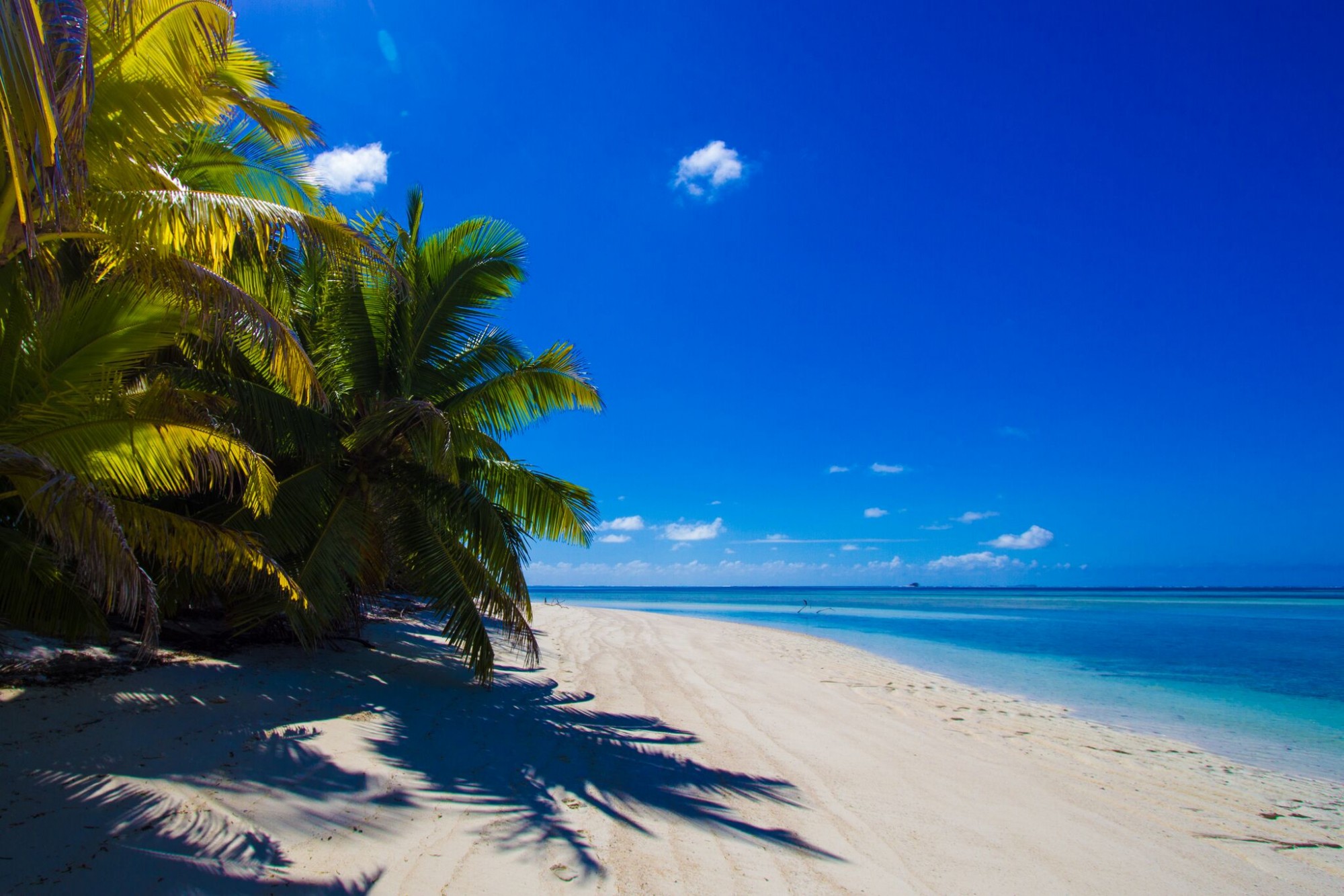 Alphonse Island - The Seychelles